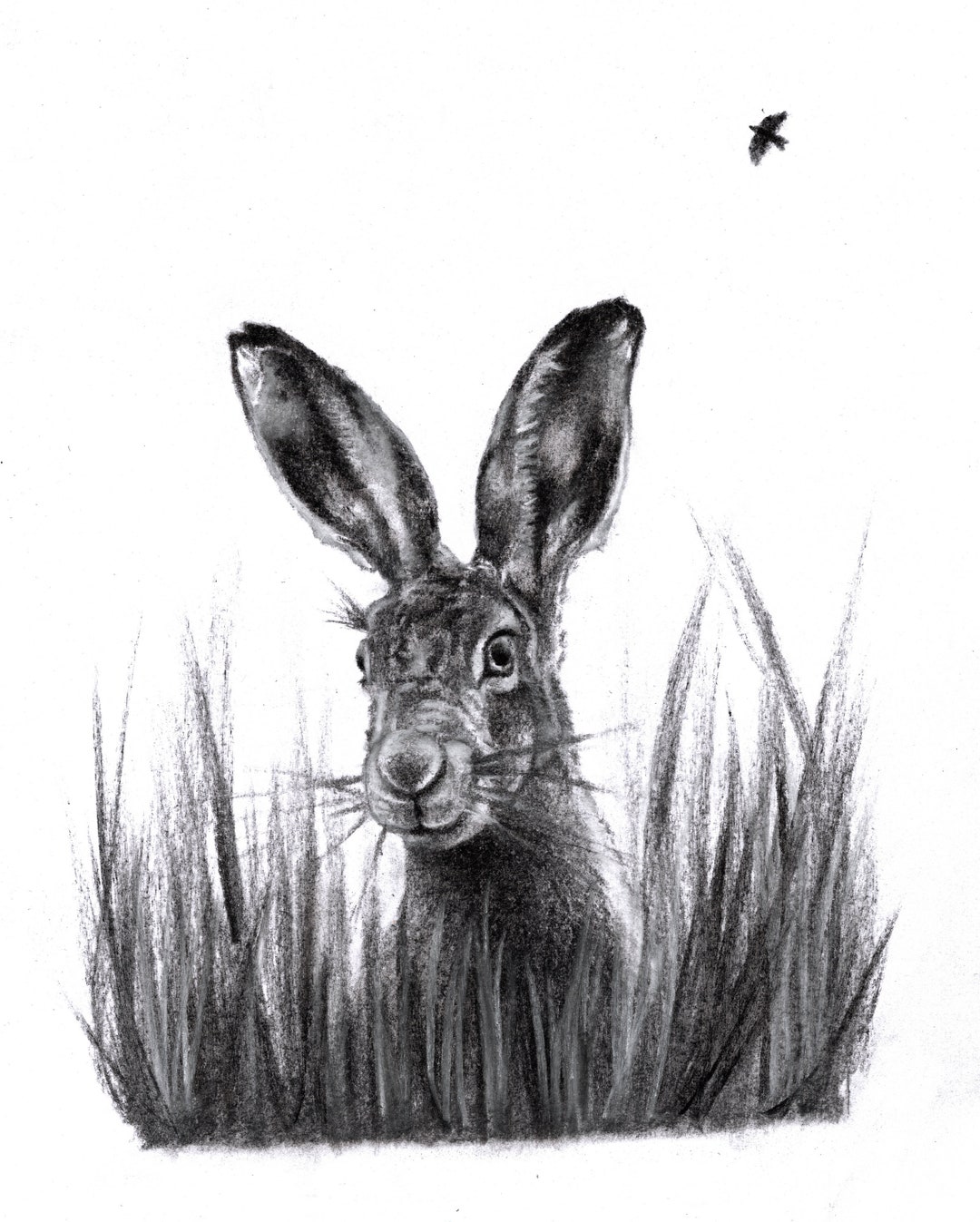 Limited Ed. Illustration, "reginald Rabbit" From, "cinza's Adventures ...