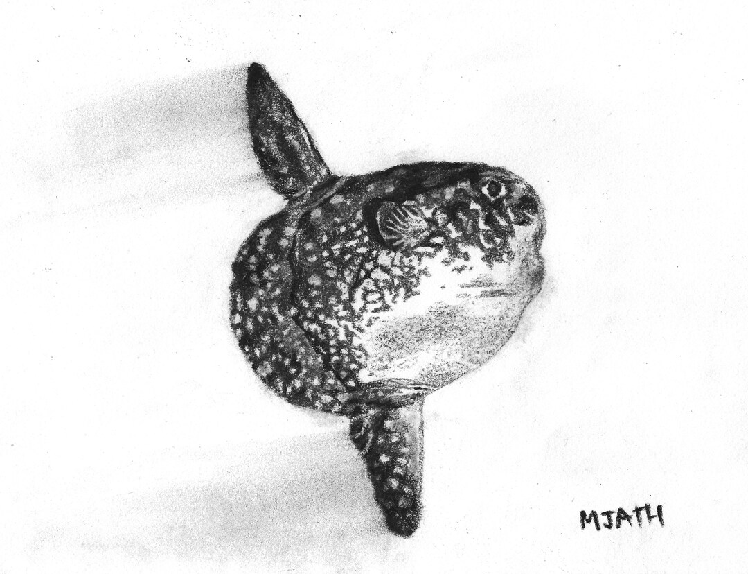 Original Art Print, go Sunfish, Go 5x7, 8x10 and a4 Sizes Available - Etsy