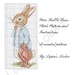 Beatrix Potter Peter Rabbit Cross Stitch Pattern Download PDF - Etsy