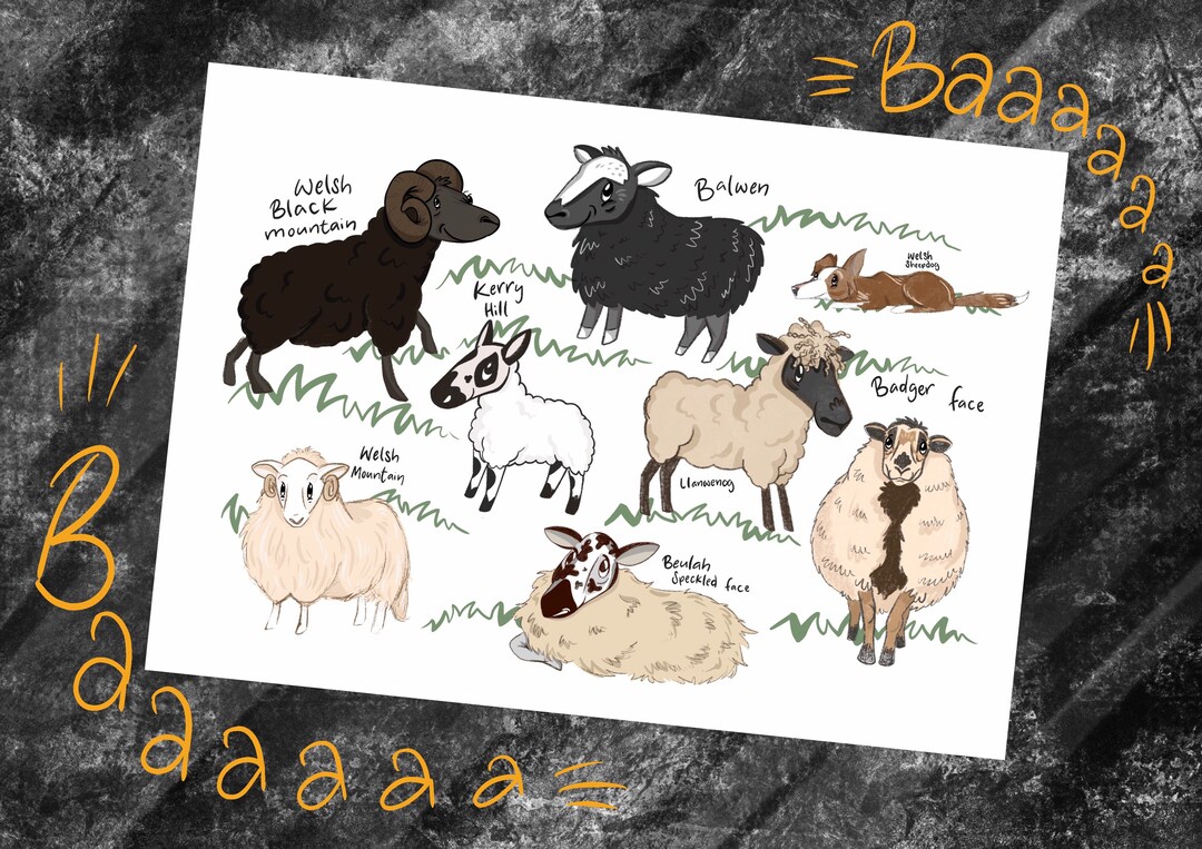 Welsh Creature Series - Welsh Sheep - Etsy