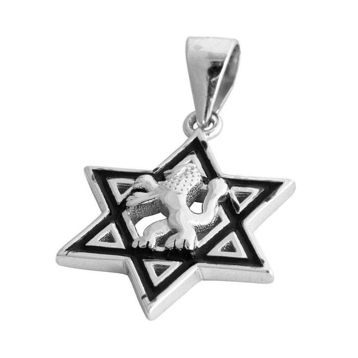 Star of David Pendant With Lion of Judah Sterling Silver With - Etsy