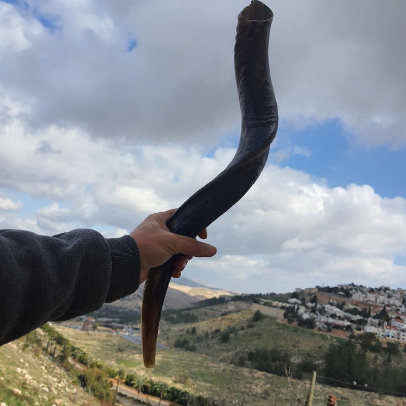 Shofar From Israel - Etsy
