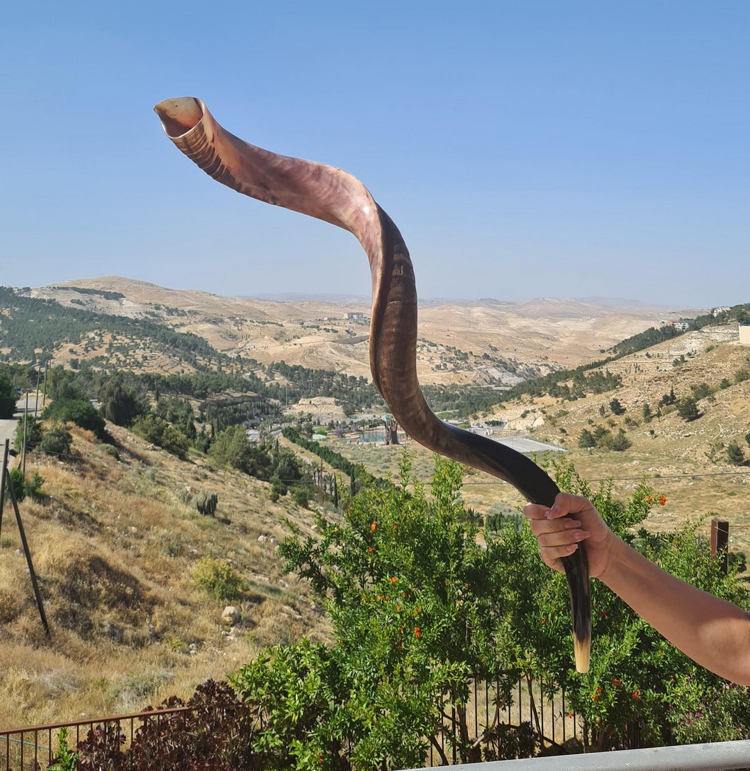 Huge Jewish Shofar Kudu Horn 128 Cm / 50 Inch Half Polished Half ...