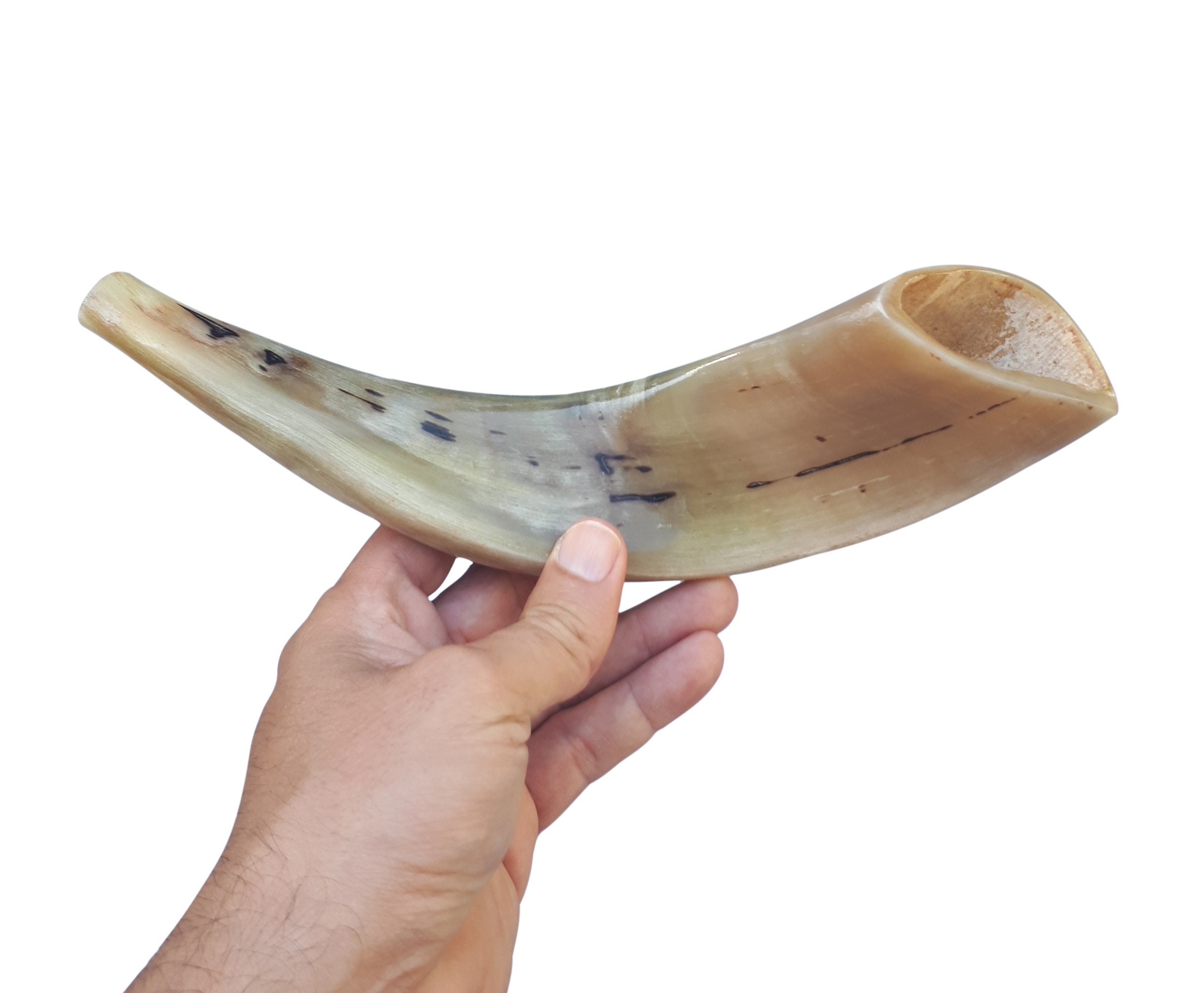 Ram Horn Shofar Trumpet Full Polished 1012 Great - Etsy