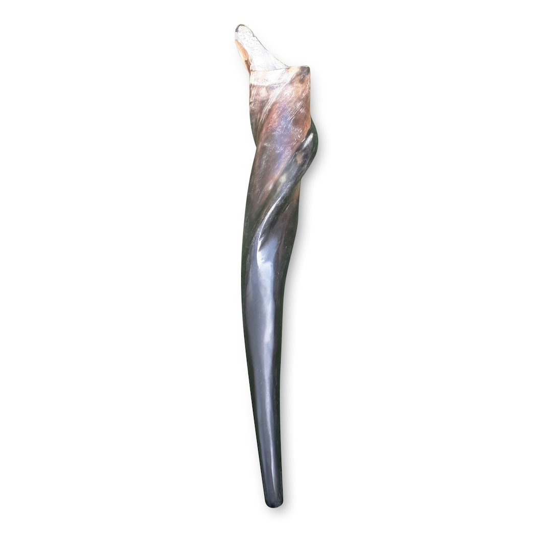 Eland Shofar Horn, 18-20 Inch - Etsy