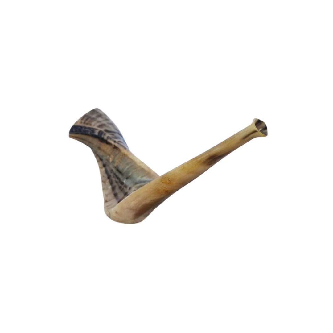 Jewish Shofar Ram Horn Blowing Shofar Trumpet 14-16 Inch - Etsy