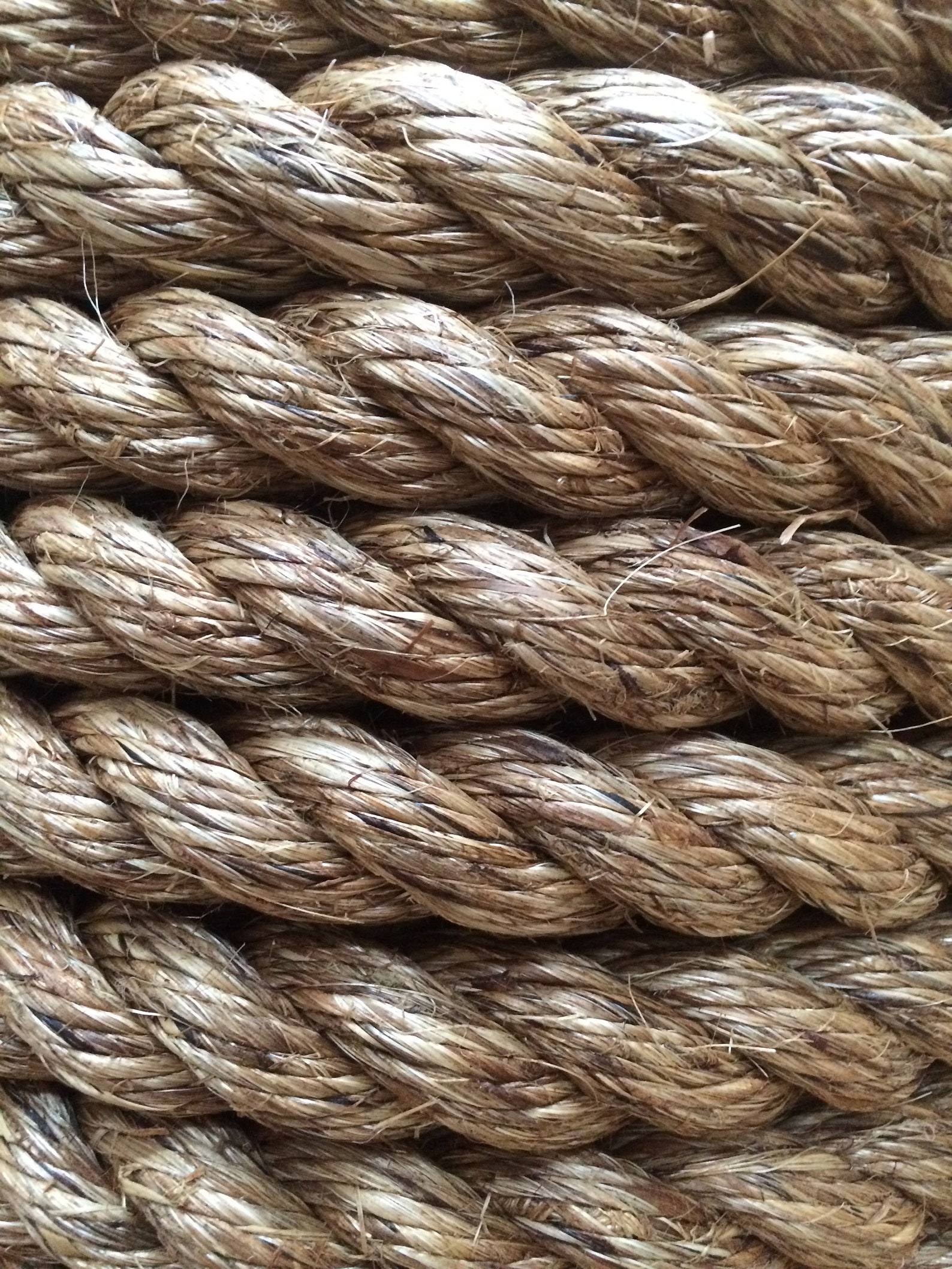 1 X 100' TREATED MANILA ROPE Docks Tree Work Dock | Etsy