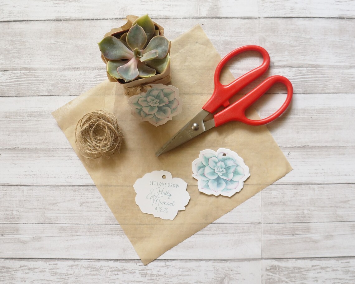 Succulent Tags Custom Favor Tags Let Love Grow Personalized | Etsy