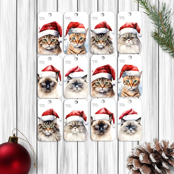Cat Gift Tags - 60+ Gift Ideas for 2025