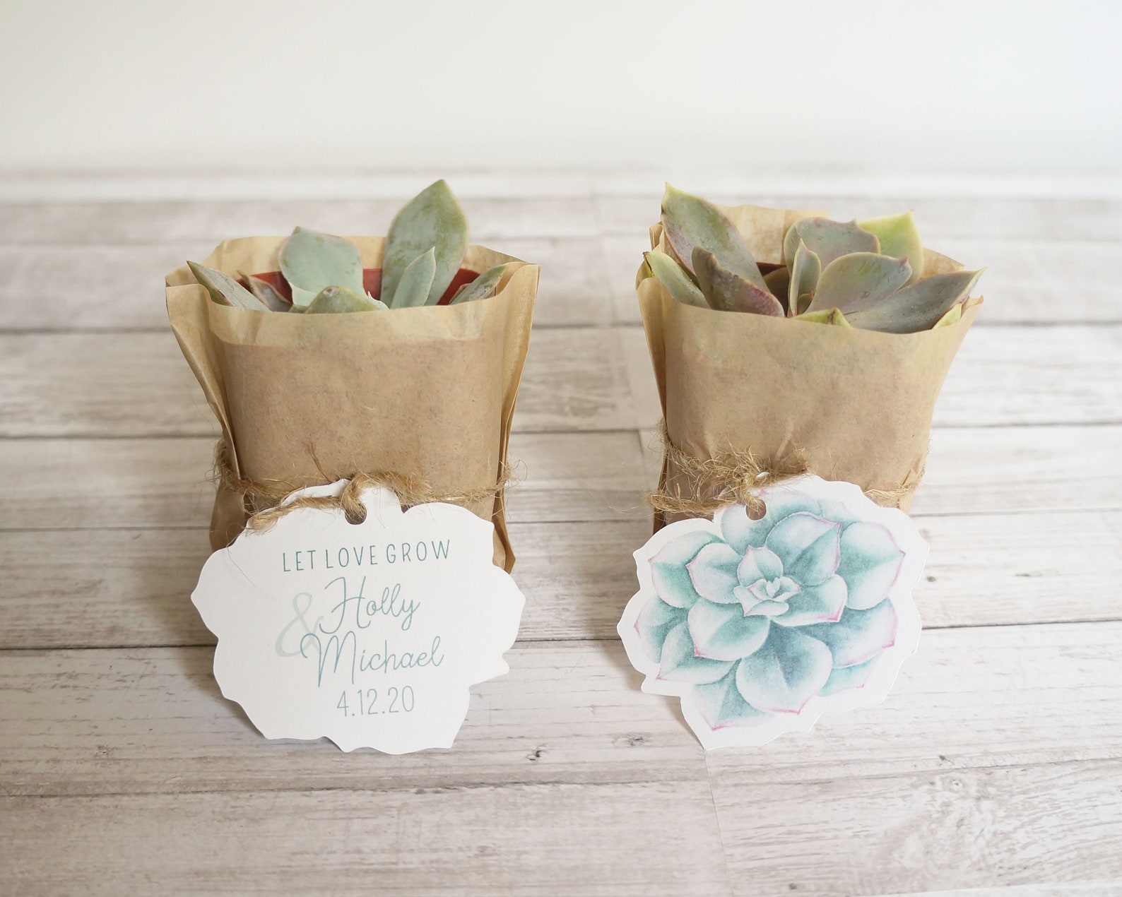 Succulent Tags Custom Favor Tags Let Love Grow Personalized | Etsy