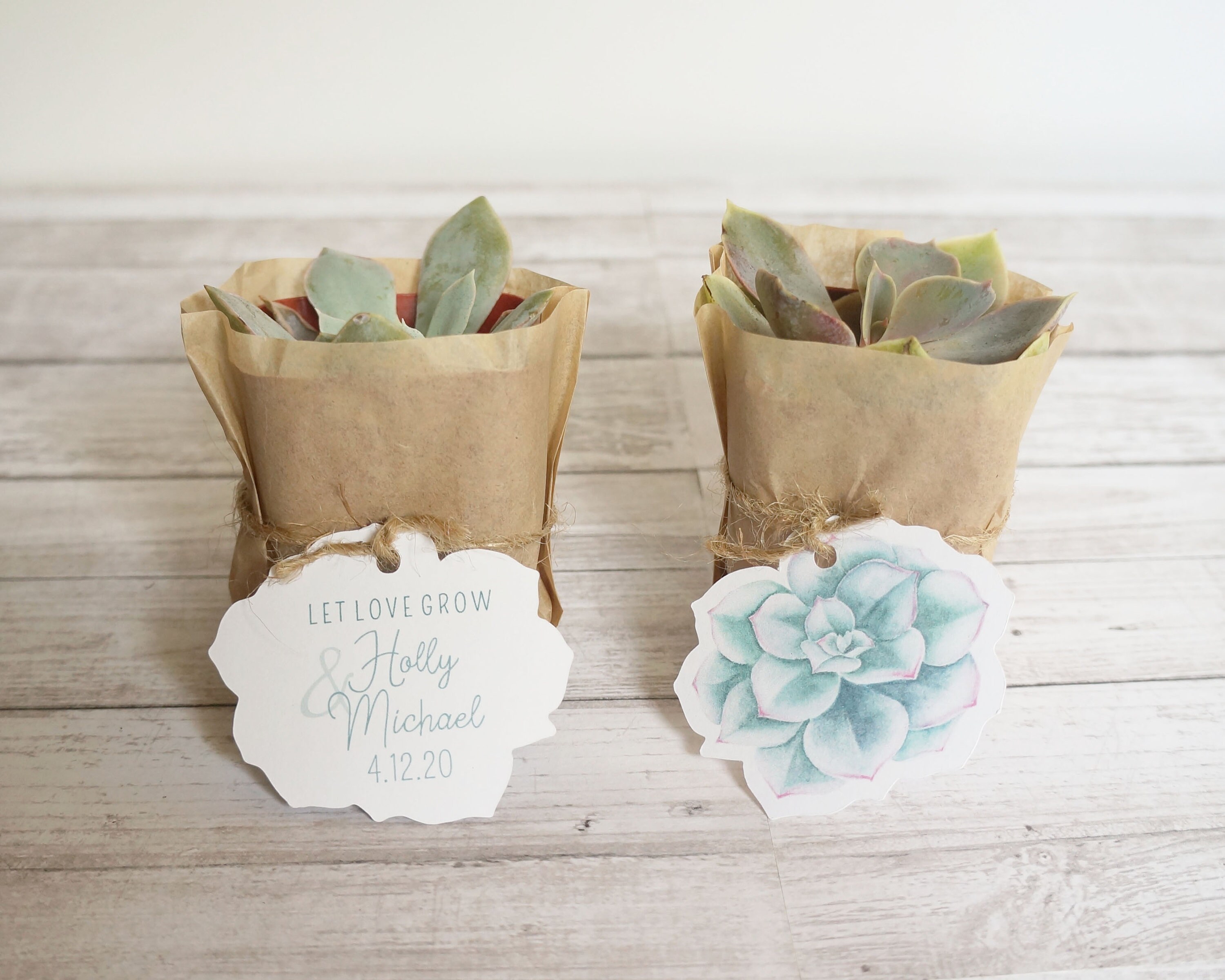 Succulent Tags Custom Favor Tags Let Love Grow Personalized | Etsy