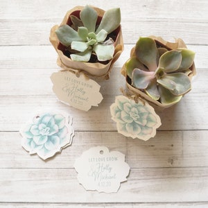 Succulent Tags, Custom Favor Tags, Let Love Grow, Personalized Labels ...