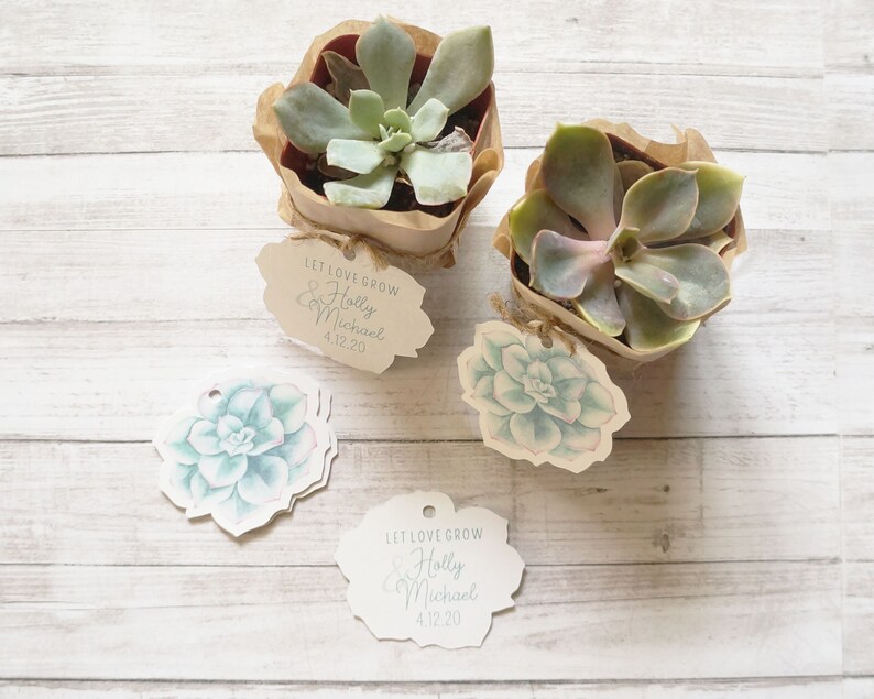 Succulent Tags Custom Favor Tags Let Love Grow Personalized | Etsy