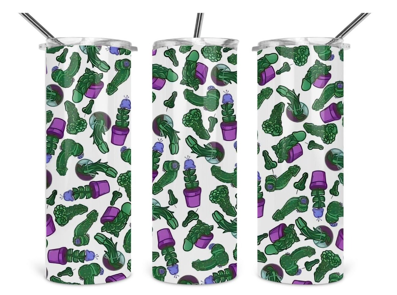 Cactus Penis Tumbler, Penis Cactus, Hidden Penis, Funny Tumbler ...