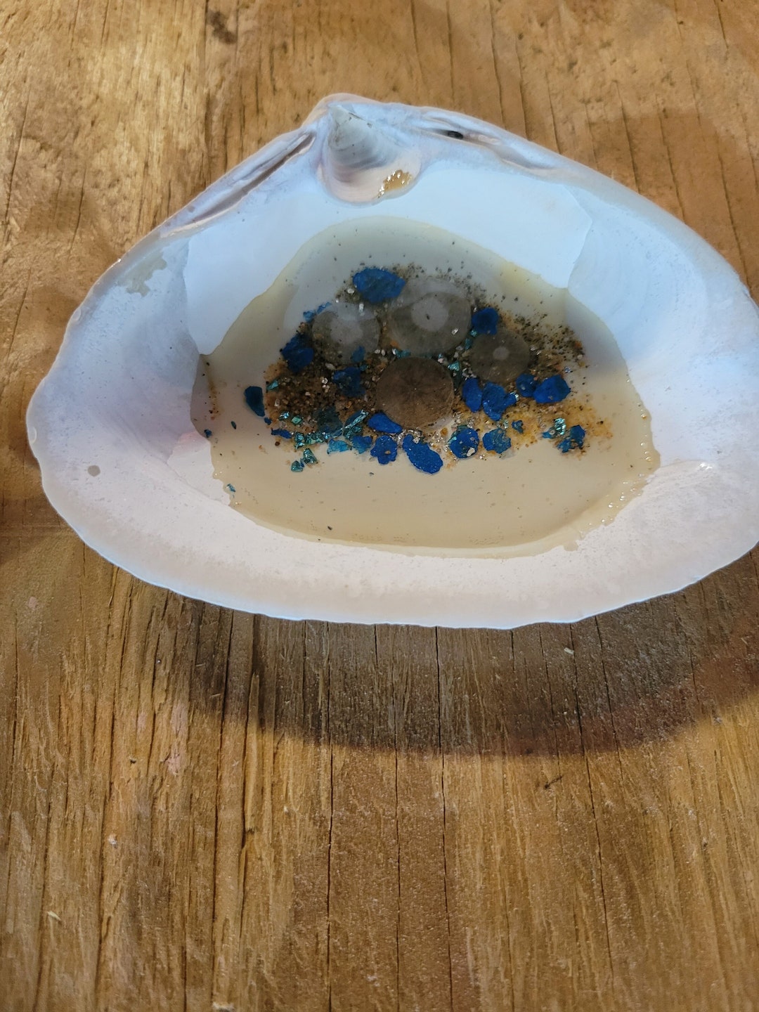 Seashell Trinket Dish - Etsy