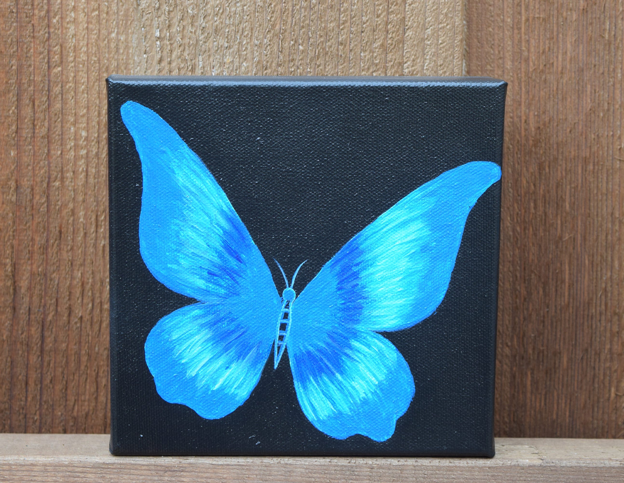 Beautiful Blue Butterfly Painting on 6x6 Canvas | Etsy