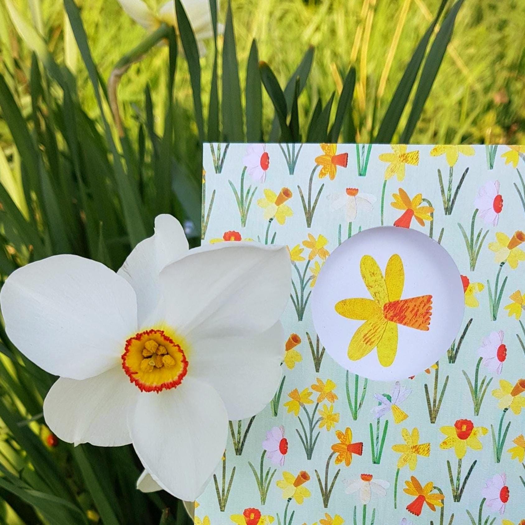 Daffodil Pattern Greeting Card: Botanical Collage, Spring Flowers - Etsy UK