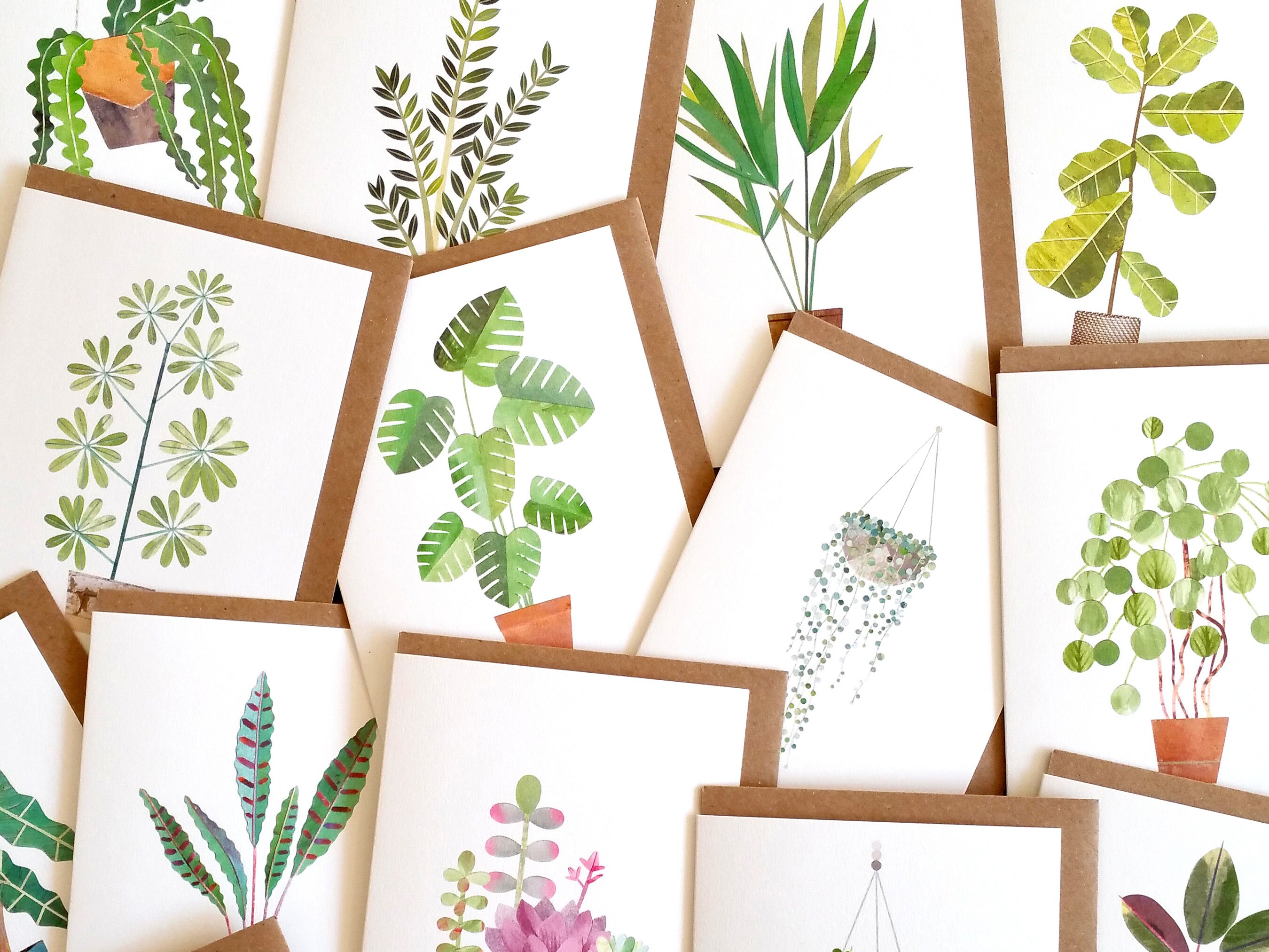 PACK OF 6 House Plant Greeting Cards With Plant Care Tips | Etsy
