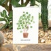 House Plant Greeting Cards Set, Botanical Plant Lover Gift - Etsy
