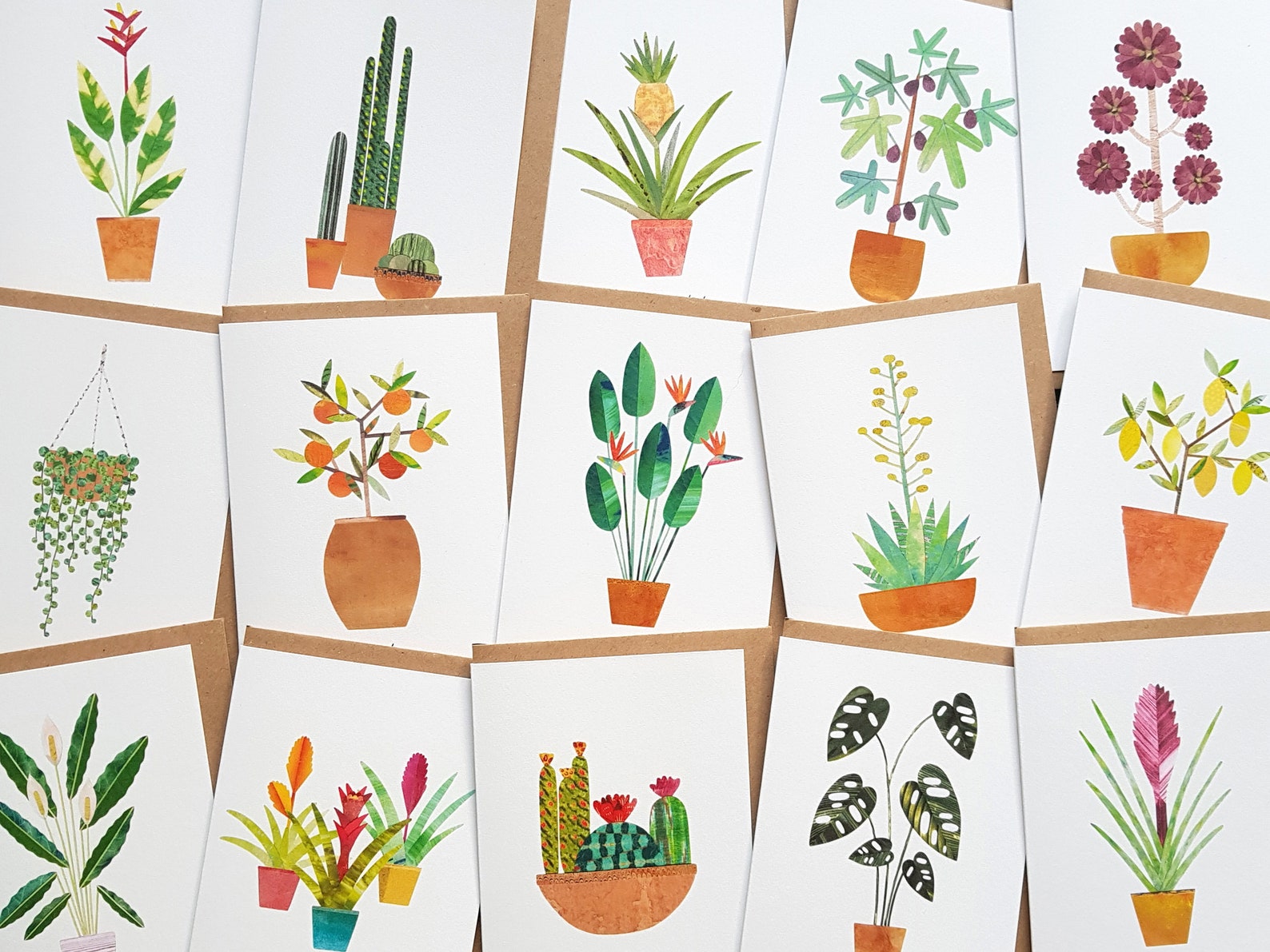 PACK OF 15 House Plant Greeting Cards With Plant Care Tips - Etsy