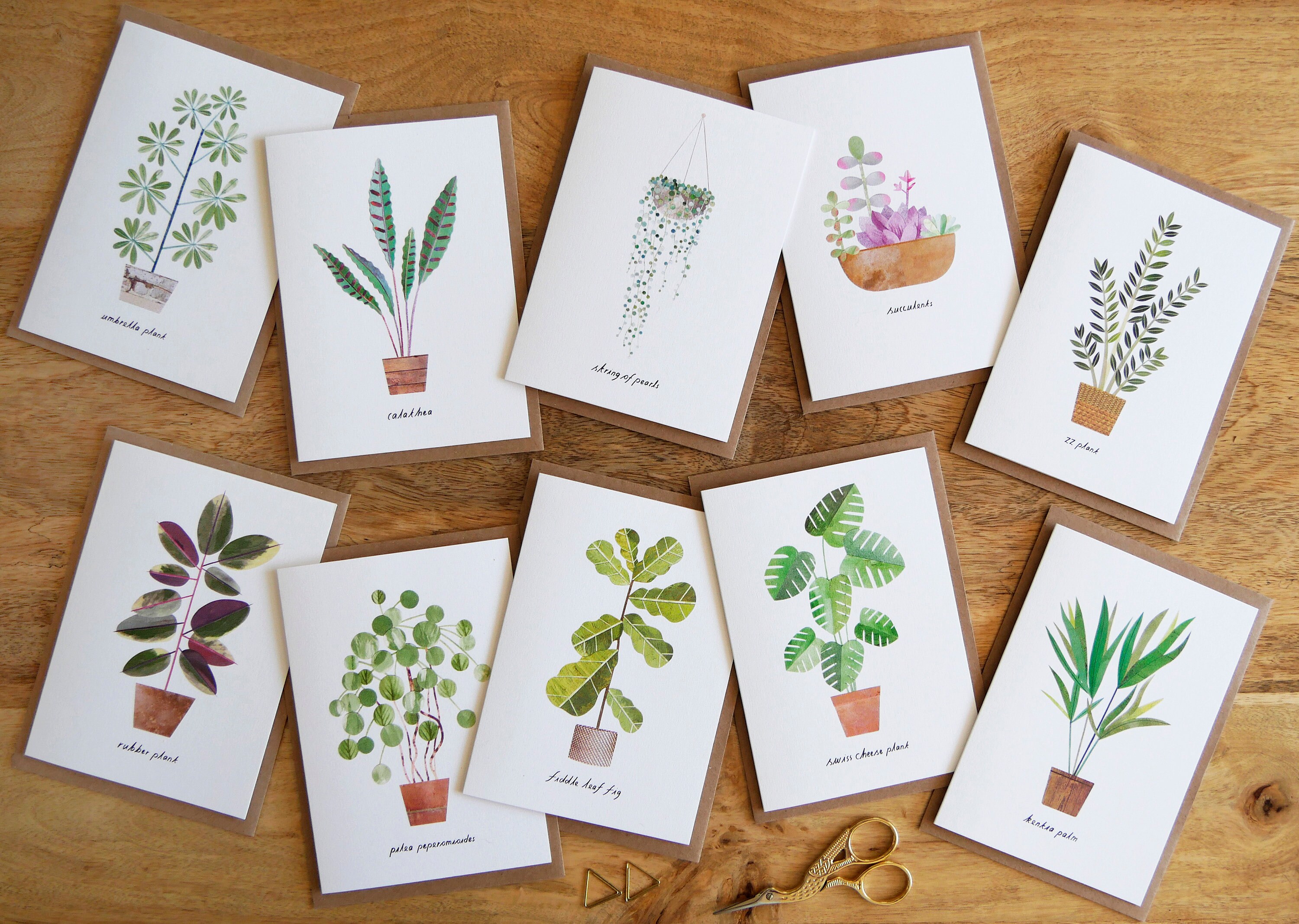 PACK OF 10 House Plant Greeting Cards with Plant Care Tips | Etsy