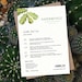 House Plant Card Set, PACK OF 10 Greeting Cards With Plant Care, Plant ...