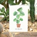 PACK OF 15 House Plant Greeting Cards With Plant Care Tips - Etsy