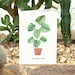 House Plant Card Set, PACK OF 10 Greeting Cards With Plant Care, Plant ...