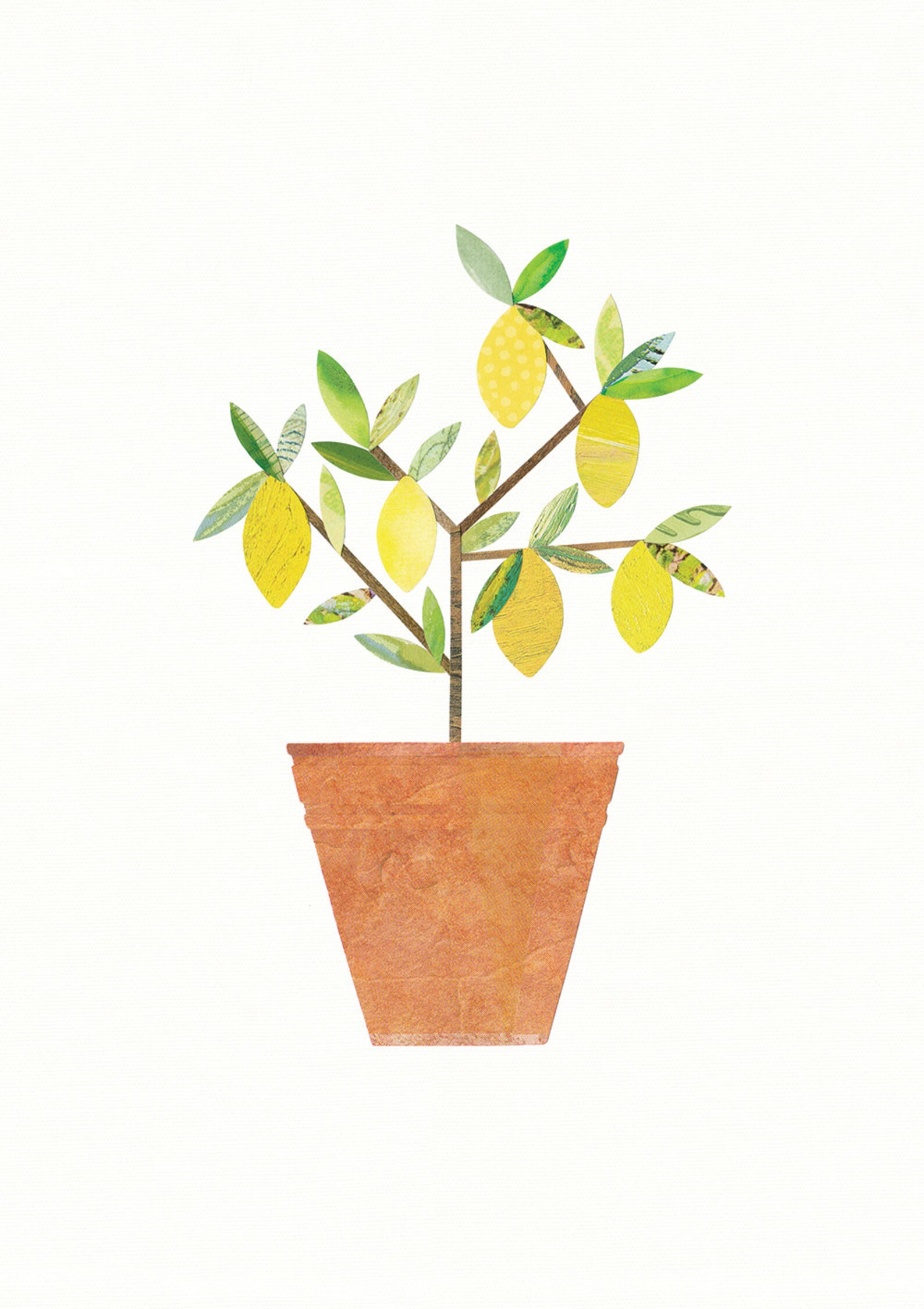 LEMON TREE Print - Citrus Limon, House Plant Print, Botanical Print ...