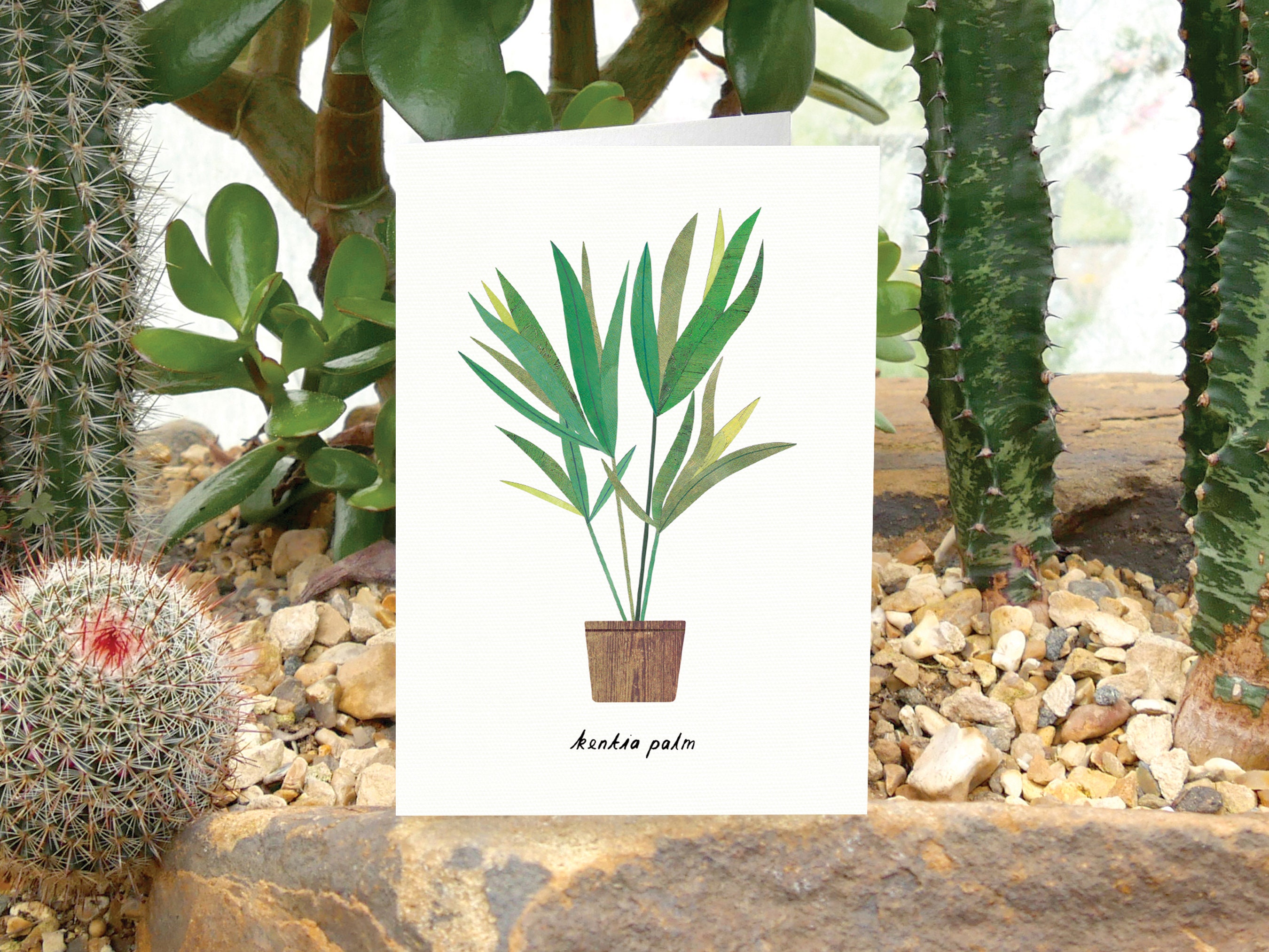 House Plant Card Set PACK OF 10 Greeting Cards With Plant - Etsy