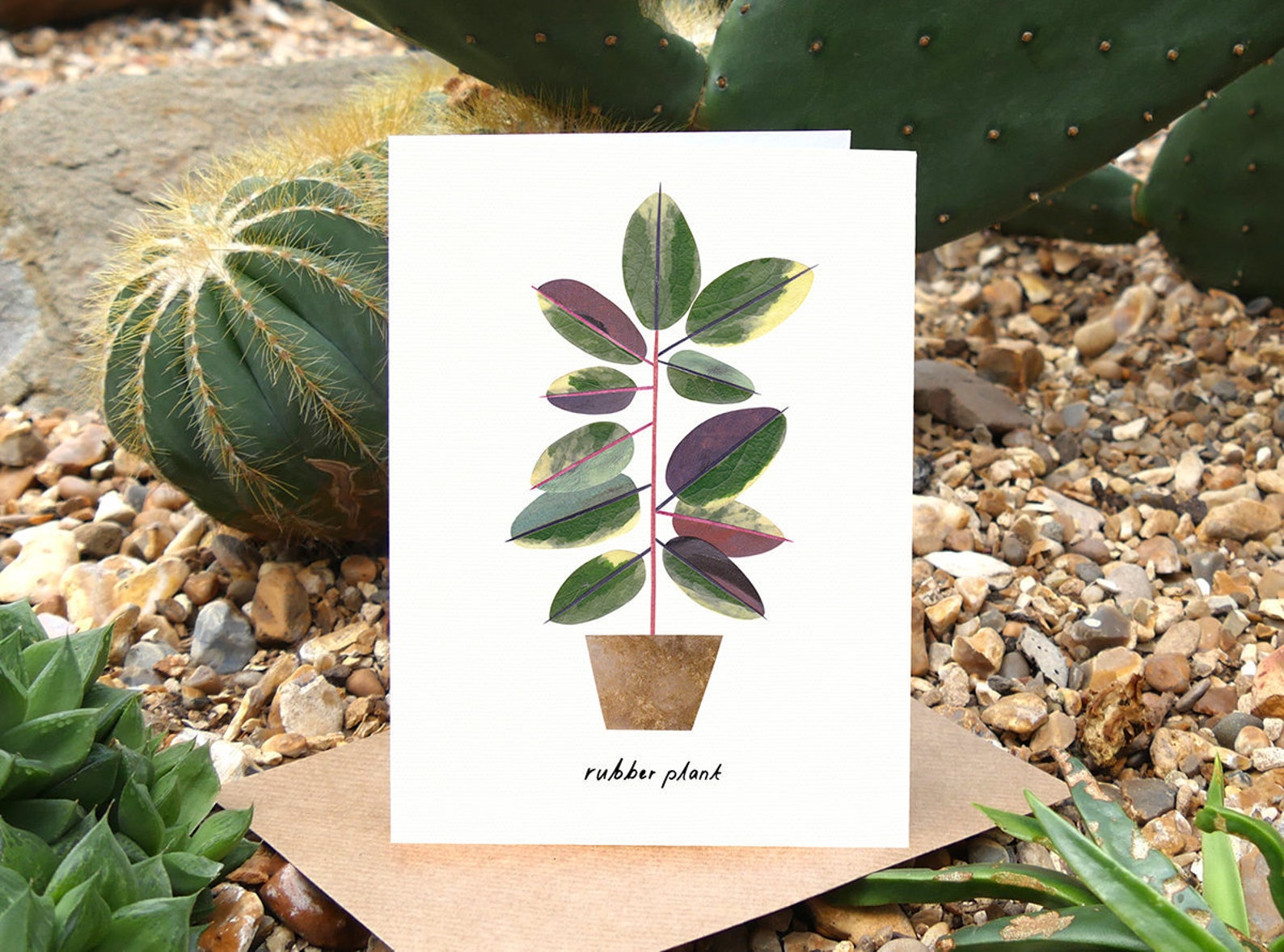House Plant Greeting Cards, Plant Lover Gift Set of 6 - Etsy UK