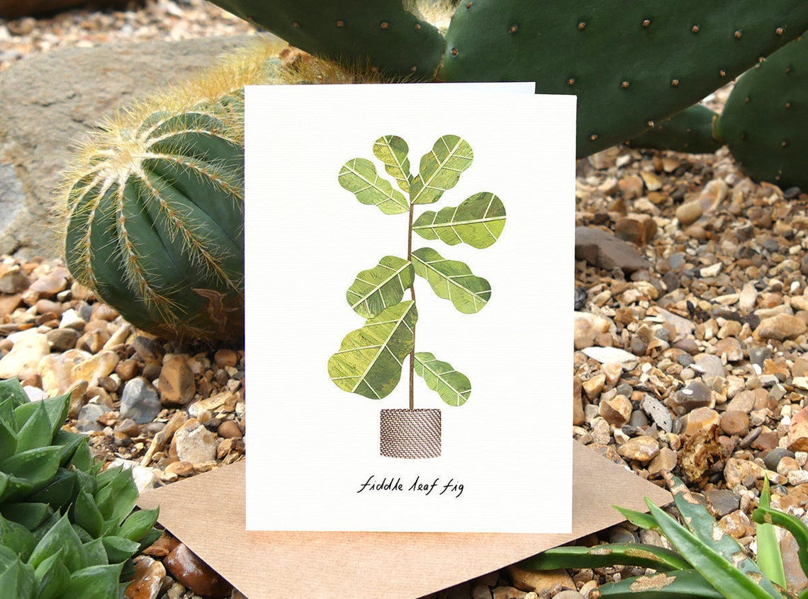 House Plant Card Set PACK OF 10 Greeting Cards with Plant | Etsy