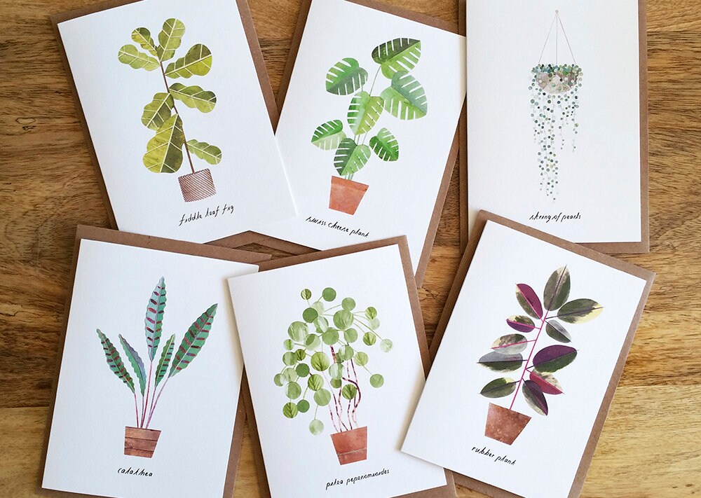 House Plant Greeting Cards Set Botanical Art With Plant Care Tips