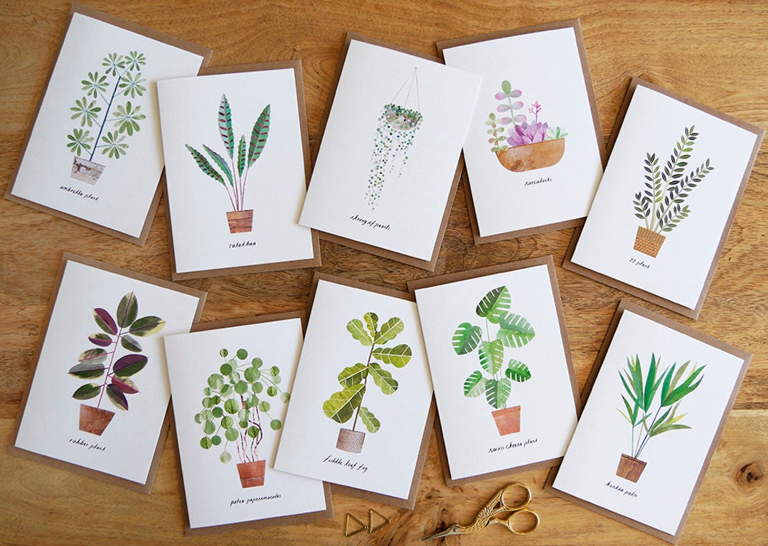 House Plant Card Set, PACK OF 10 Greeting Cards With Plant Care, Plant ...