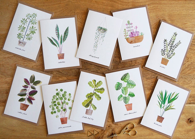 House Plant Card Set PACK OF 10 Greeting Cards with Plant | Etsy