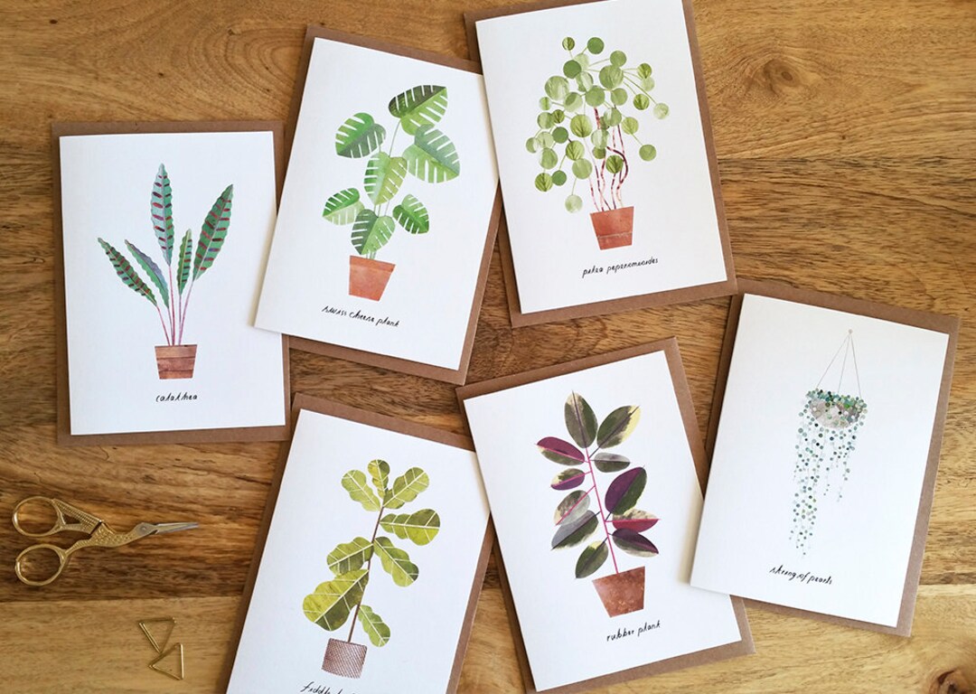 House Plant Greeting Cards Set, Botanical Plant Lover Gift - Etsy