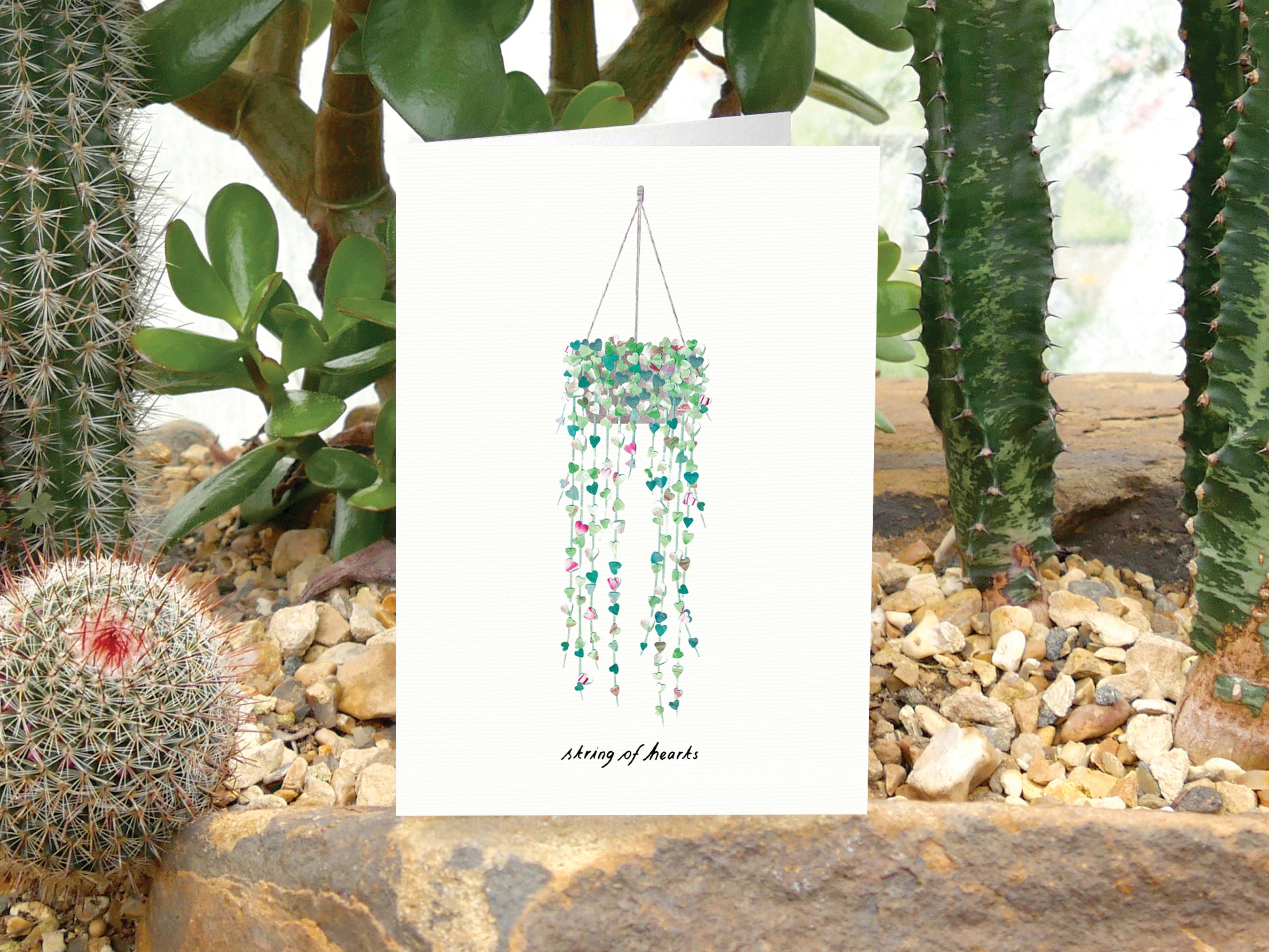 STRING OF HEARTS Plant Greeting Card With Plant Care Plant - Etsy UK