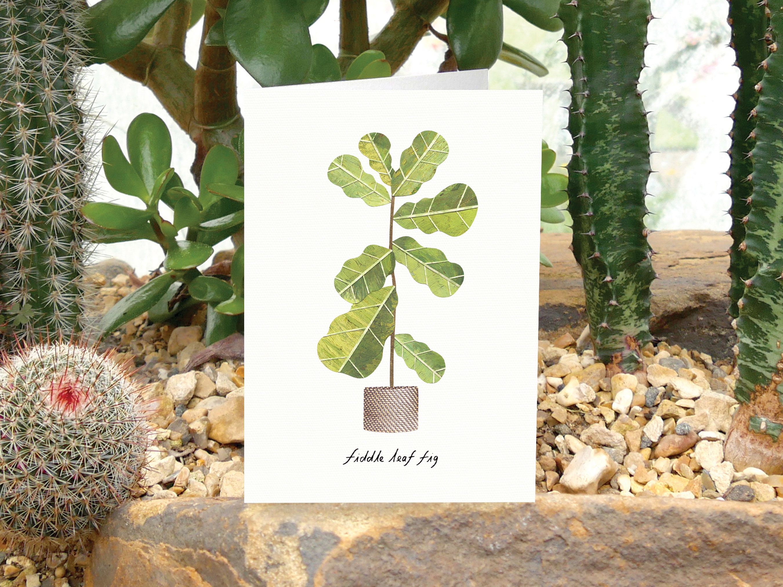 House Plant Card Set PACK OF 10 Greeting Cards With Plant | Etsy UK