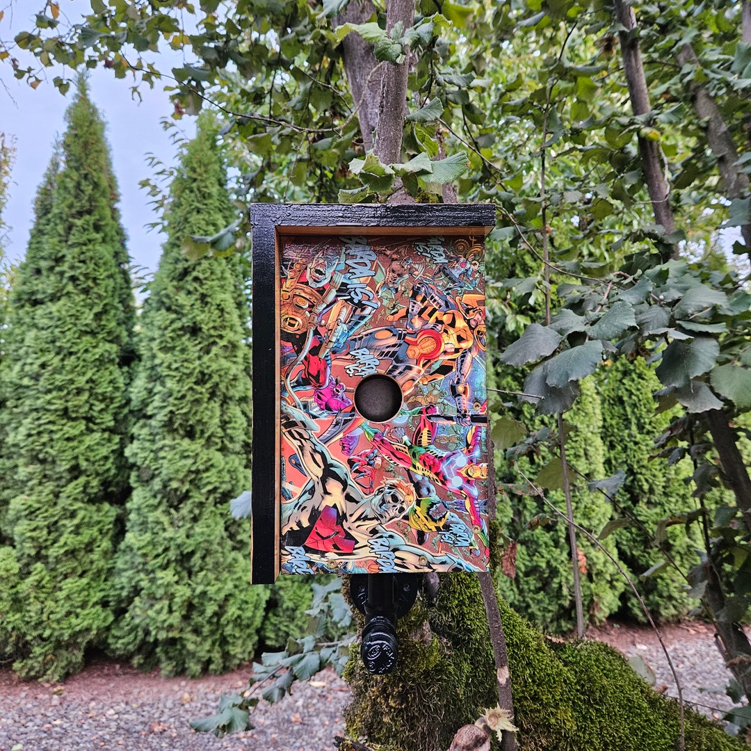 Big Bird House Bird House Plans Bird House Feeder Bird House Mounted ...