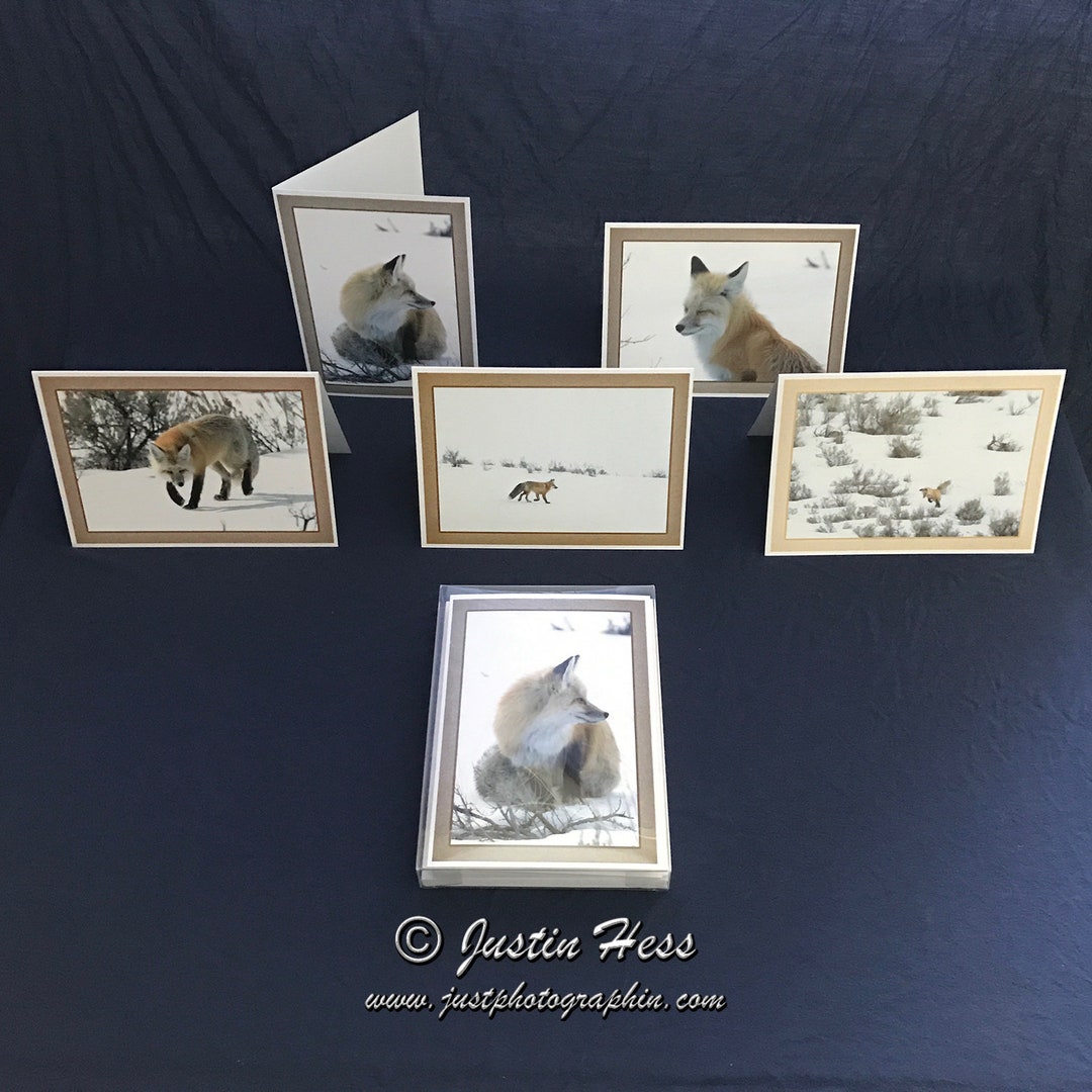 Red Fox Card Set - Etsy