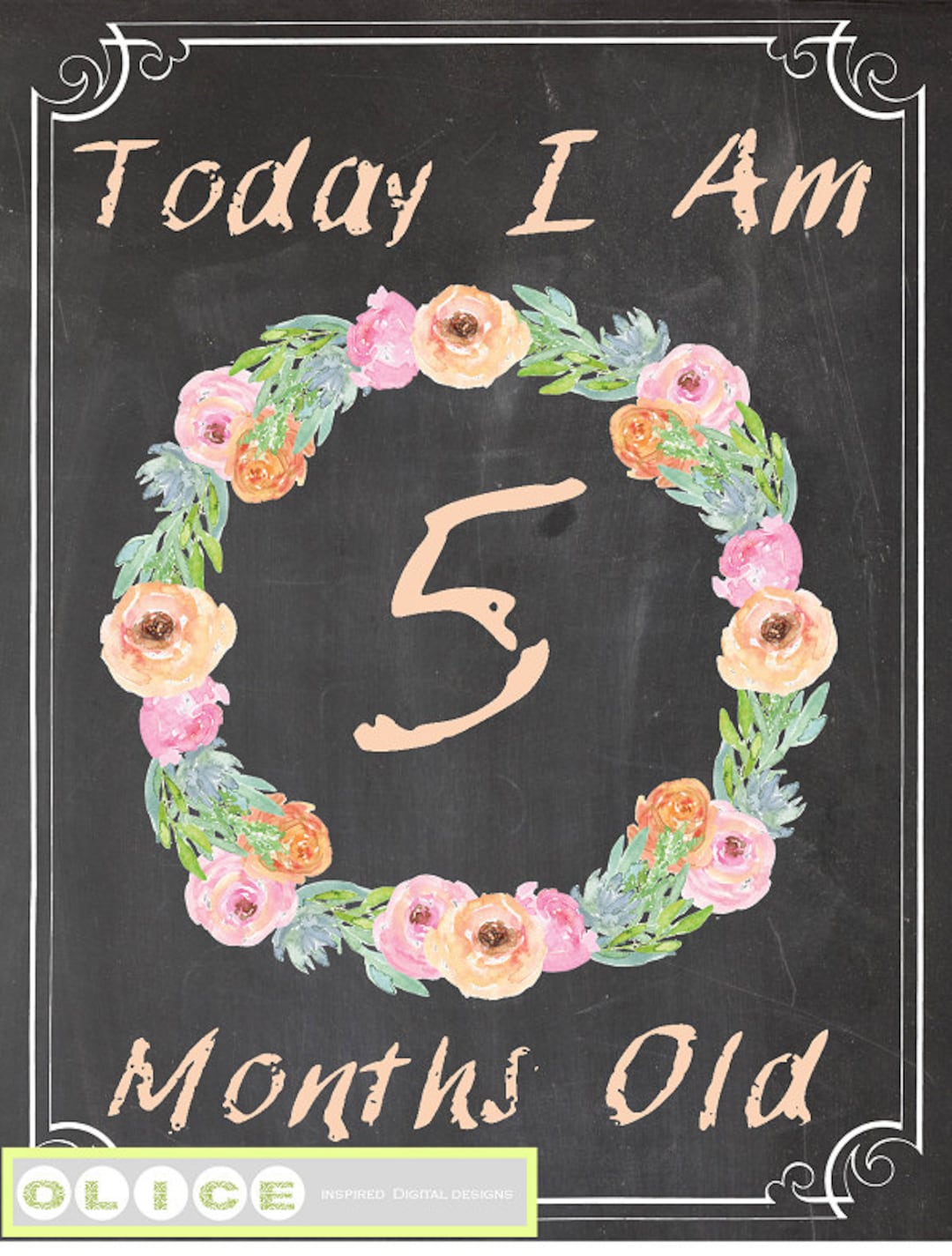 Baby Month by Month - Baby Milestone Signs - Chalkboard Baby Age Sign ...