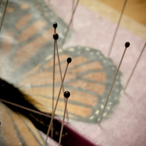 Insect Specimen Pins for Bug Pinning, Entomology Study, Insect ...