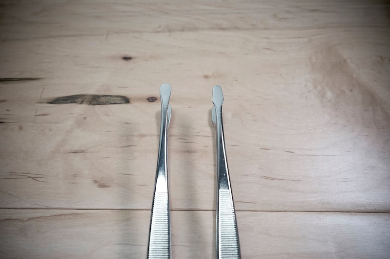 XL Specimen Forceps Professional Grade for Entomology Study Butterfly ...