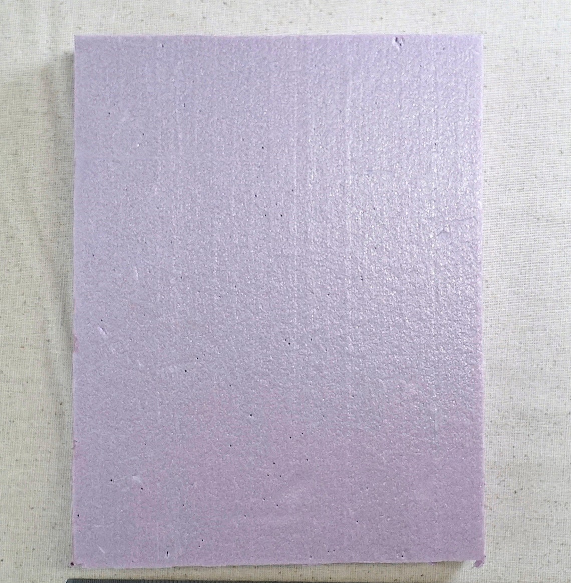 Foam Pinning Boards for Insect Collection Mounting and Display - Etsy