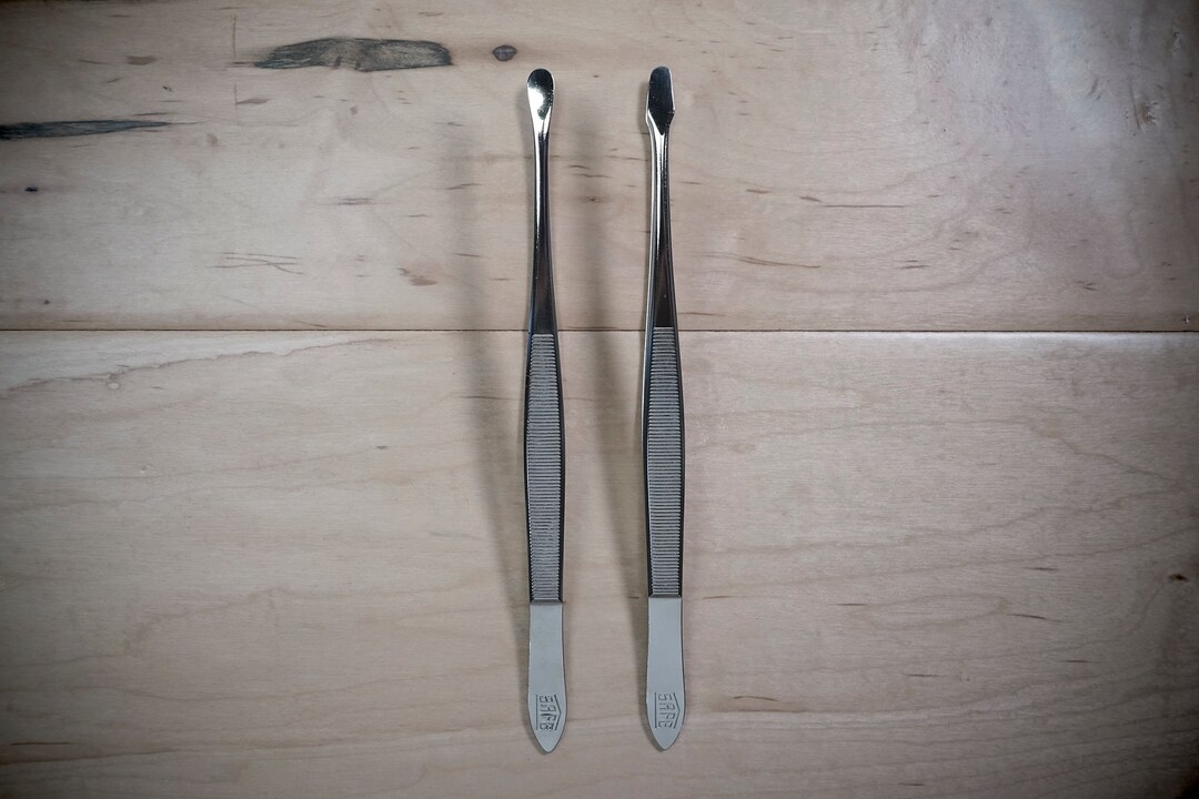 XL Specimen Forceps Professional Grade for Entomology Study Butterfly ...