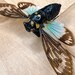 Real Splendid Cicada Tosena Splendida for Photography Insect Taxidermy ...