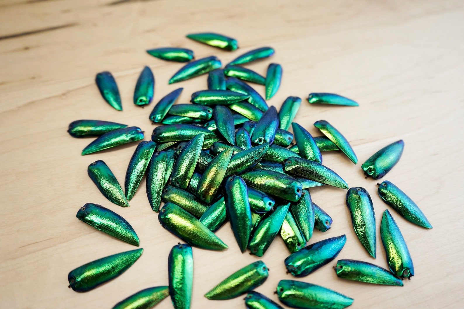 Real Jeweled Beetle Wings Elytra for Jewelry Embellishment Art - Etsy