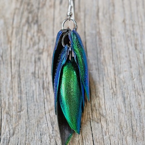 Real Jeweled Beetle Wings Elytra for Jewelry Embellishment Art ...