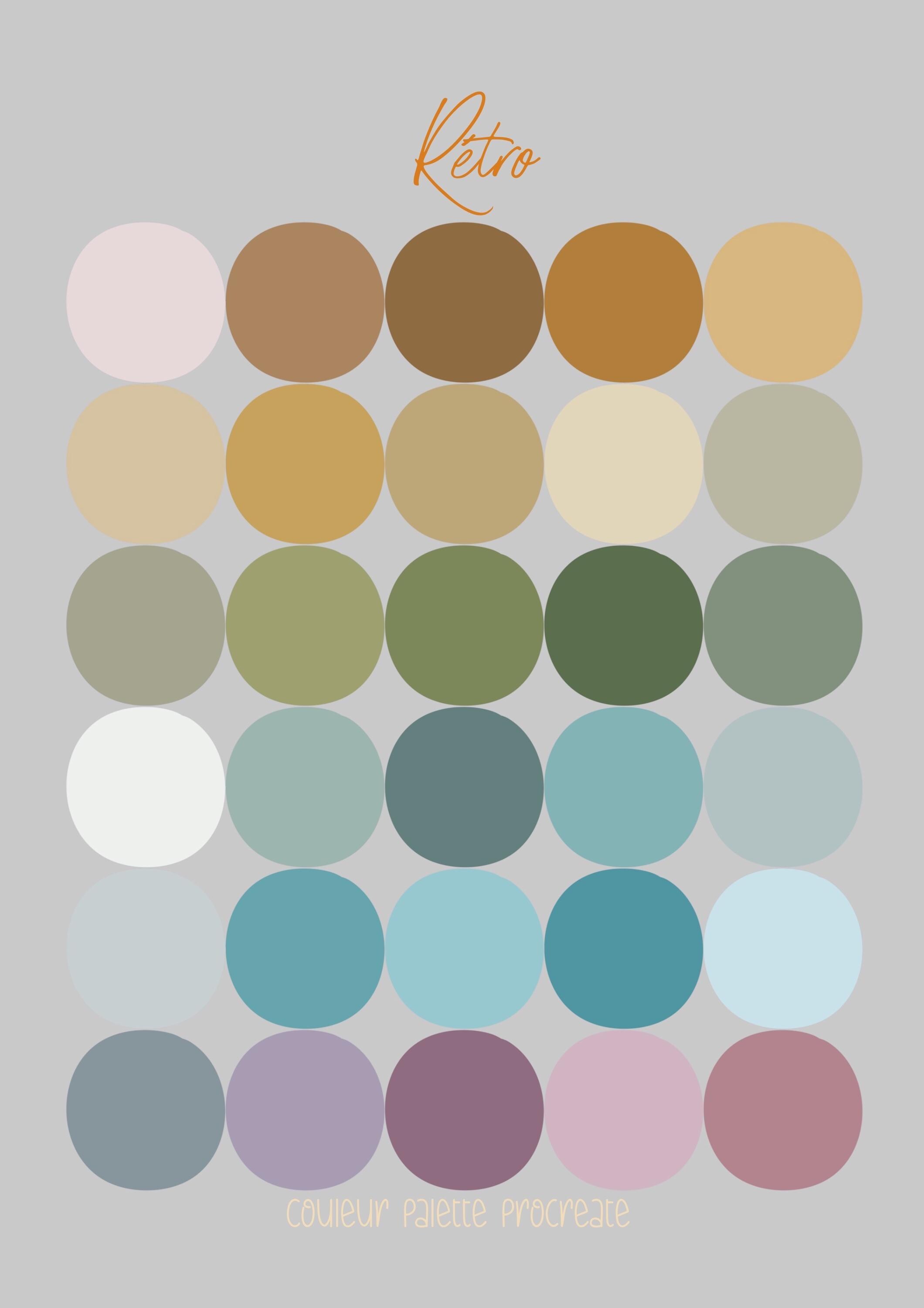 Retro Procreate Color Palette Etsy Uk