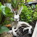Céramic Raku the Wild Rabbit - Etsy UK